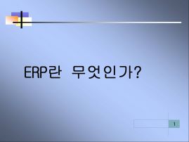 ERP의 정의,역사,특징 및 ERP 시장의 국내환경 분석-1페이지