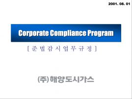 준법 감시 업무 규정에 관한 실제 사례 분석 -Corporate Compliance Program-1페이지