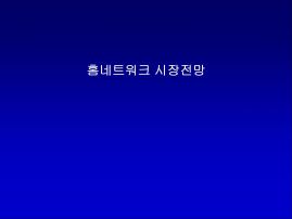 홈네트워크 시장전망-1페이지