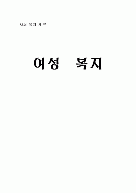 여성복지의 개념과 실태조사-1페이지