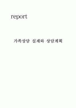 가족상담 실제와 상담계획-1페이지