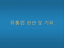 유통업 현안 및 기회-1페이지