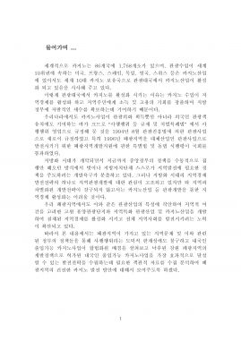 폐광지역의 카지노 사업-1페이지