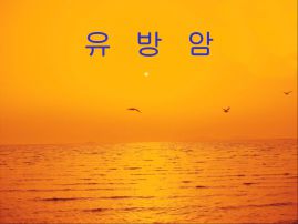 유방암의 증상과 진단, 치료 그리고 예방에 관한 이해-1페이지