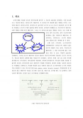 절삭공구의 재료 및 특성-1페이지