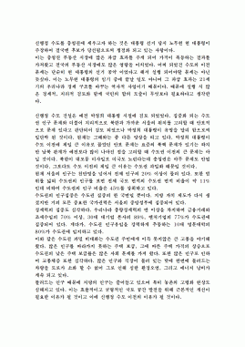 신행정수도 건설 시 고려사항-1페이지