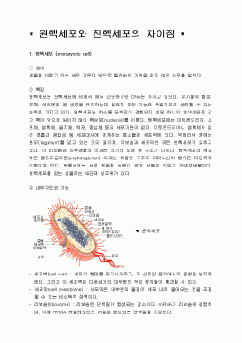  원핵세포와 진핵세포 -1페이지