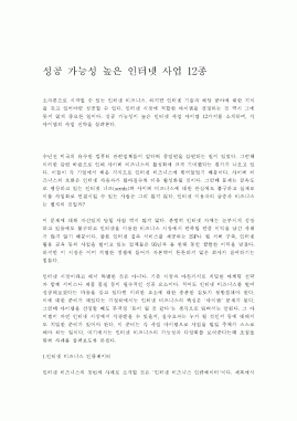 성공 가능성 높은 인터넷 사업 12종-1페이지