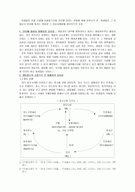 [자연과학] 미생물의 산업적 이용 [분석/조사] -1페이지