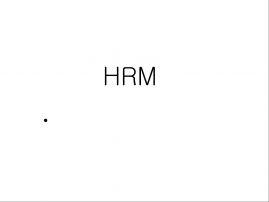 HRM-전략적 인적자원관리시스템 완전 분석-1페이지