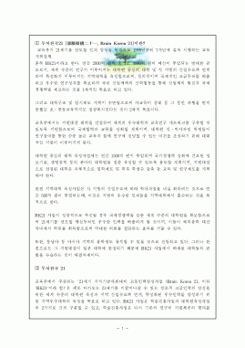두뇌한국21(Brain Korea 21)에 관한 조사-1페이지