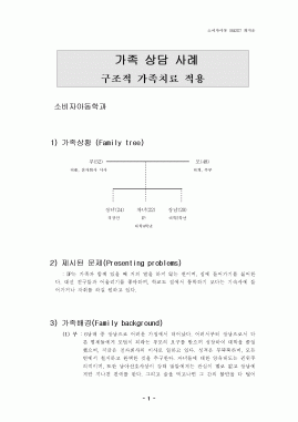 가족 상담 사례(구조적 가족치료 적용)-1페이지