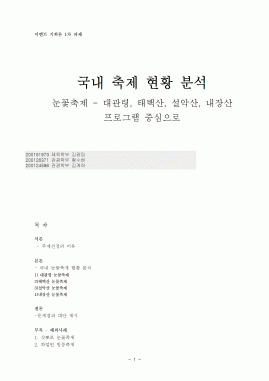 눈꽃축제의 현황(대관령, 태백산, 내장산, 설악산 )-1페이지
