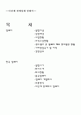 암웨이의 유통전략-1페이지