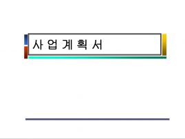 사업계획서의 실제-정보통신서비스 업체의 사례를 중심으로-1페이지