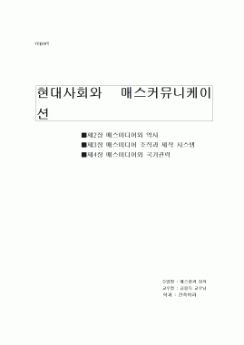 [사회과학] 미디어와 정치 -1페이지