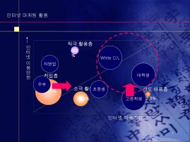 인터넷 마케팅 활용-1페이지