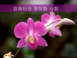 컴퓨터와 정보화 사회-1페이지