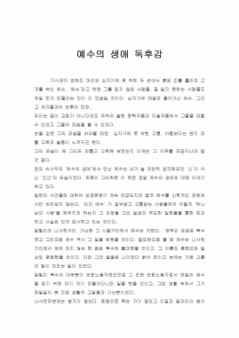 [독후감/서평/요약] 예수의 생애 독후감-1페이지