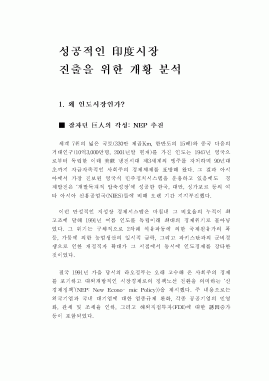 성공적인 인도시장 개황 분석-1페이지