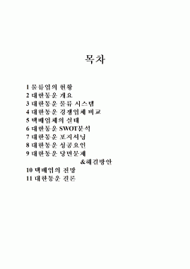 대한통운 성공사례-1페이지