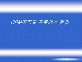 CRM프로세스 관리-1페이지