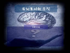 두뇌 조직에 대한 이해 및 장단점 분석, 그리고 사이버네틱스와 이중순환학습의 조직 실례-1페이지