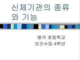 보건교사 수업실습자료-근골격계, 신경계-1페이지