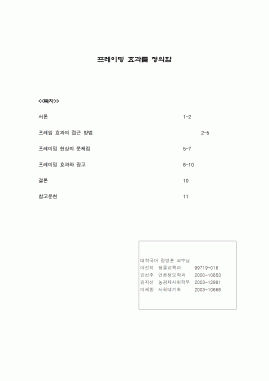 [매스미디어] 프레이밍효과의 정의와 이론정립, 문제점 분석(고프만)-1페이지