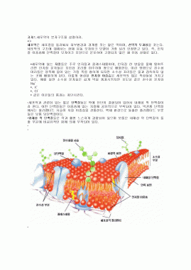 [자연과학] 세포막에 대한 조사-1페이지