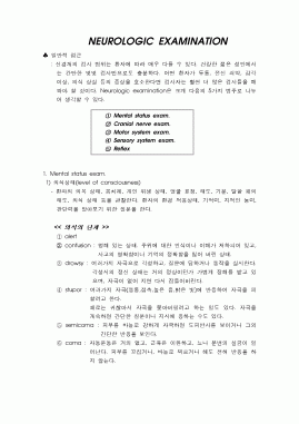 신경학적 검사 NEUROLOGIC EXAMINATION-1페이지