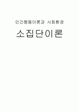 [사회과학] 소집단 이론-1페이지