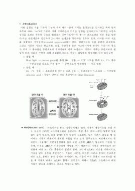 기공의 개폐-1페이지