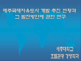 제주국제자유도시 개발 현황과 그 발전 방향에 관한 연구-1페이지