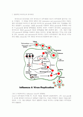 일반적인 바이러스의 증식과정-1페이지