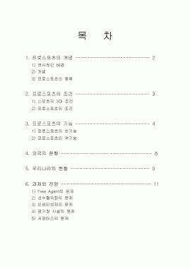 프로스포츠에 관하여-1페이지