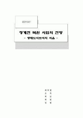 청계천 복원 사업의 전망 - 생태도시로서의 서울-1페이지