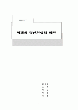 헤겔의 정신현상학 비판-1페이지