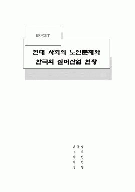 현대사회의 노인문제와 한국의 실버산업 현황-1페이지