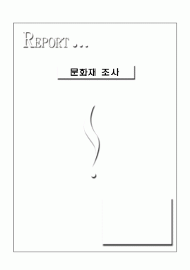 문화재 조사(인천 도호부 청사)-1페이지