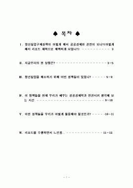 청년실업 구제를 위한 정부의 정책과 그에 대한 우리의 활용-1페이지