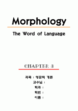 MORPHOLOGY-1페이지