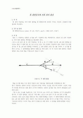 힘평형장치에의한 힘의 합성(예비레포트)-1페이지