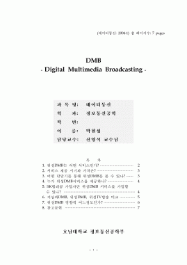 DMB - Digital Multimedia Broadcasting-1페이지