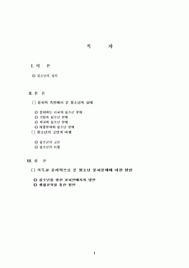 청소년 문화와 기독교 윤리-1페이지