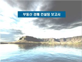 부동산 경매 컨설팅 보고서-1페이지