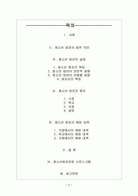 청소년정책의 현실과 문제점-1페이지