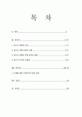 청소년비행문제의 원인과 해결방안-1페이지