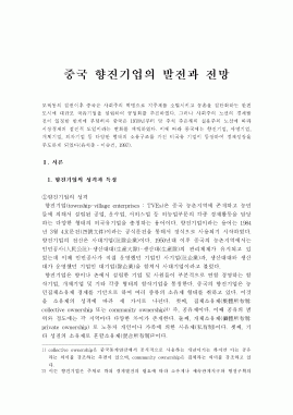 중국 향진기업의 발전과 전망-1페이지