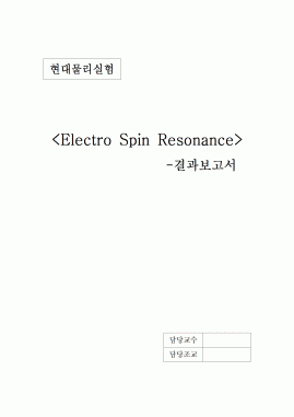 Electro Spin Resonance-1페이지